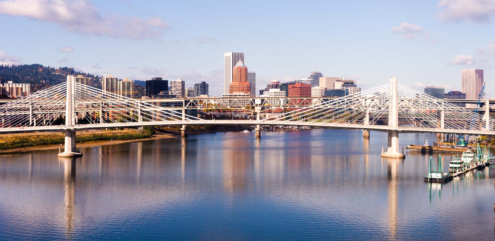 About Us - Jo Gold Realty Services